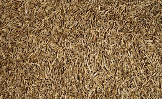 Mulch, Garden Soil Delivery Kitchener, Cambridge, Waterloo & Guelph